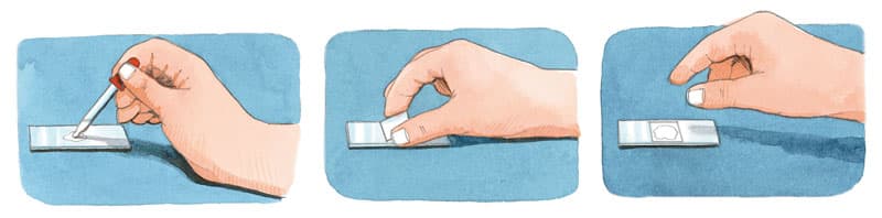 Opgave 15. Se på sæd